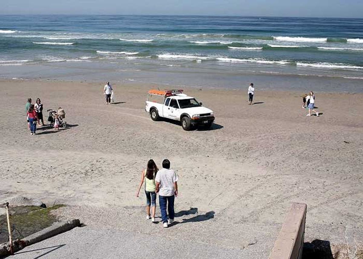 The real-life 'Jaws': Don't go back in the water | The Independent ...