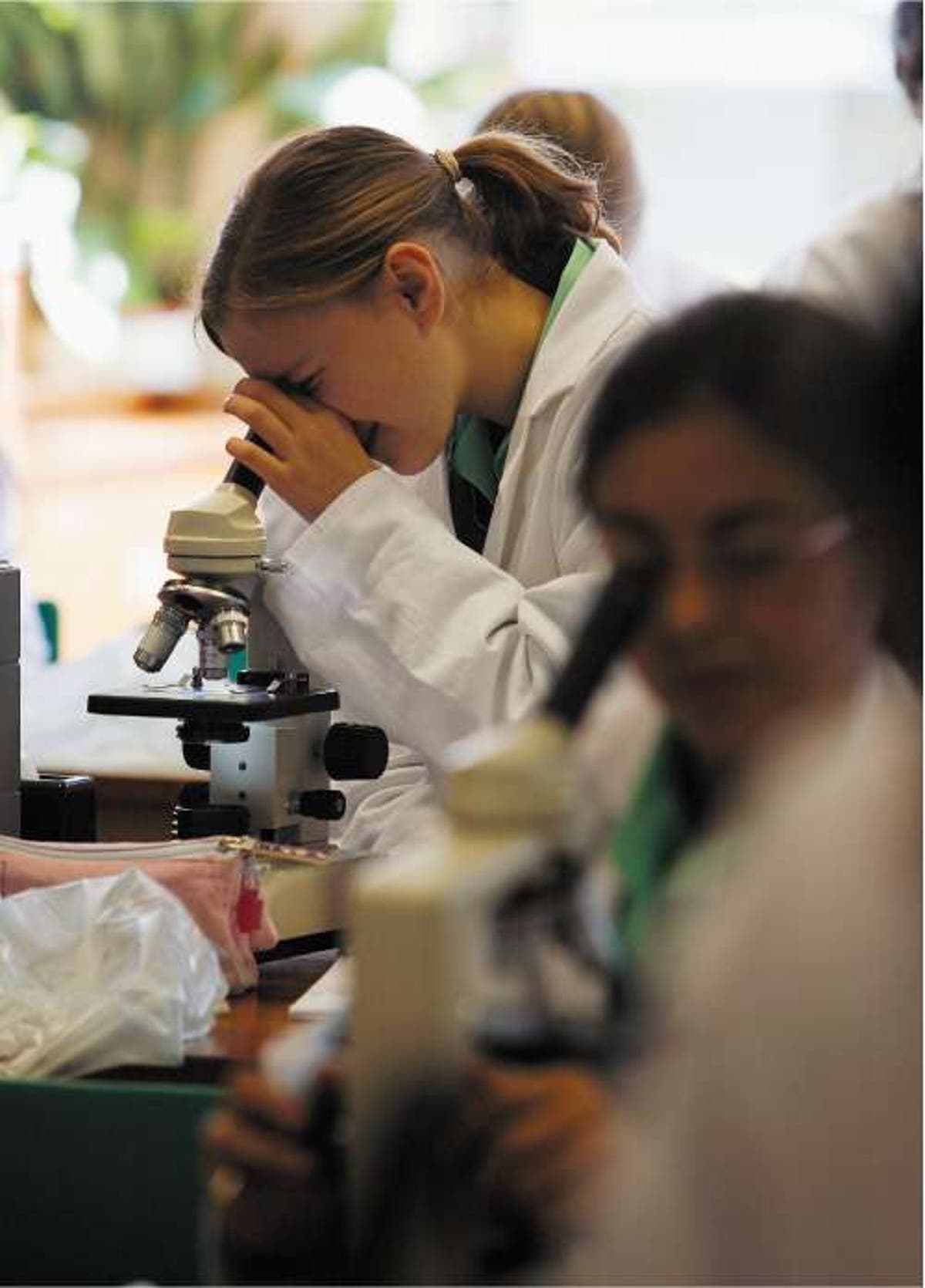 University to offer science courses for students who bypass A-levels ...