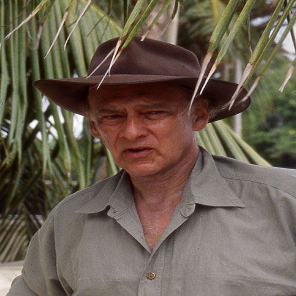 Mark Trees's Instagram, Twitter & Facebook on IDCrawl