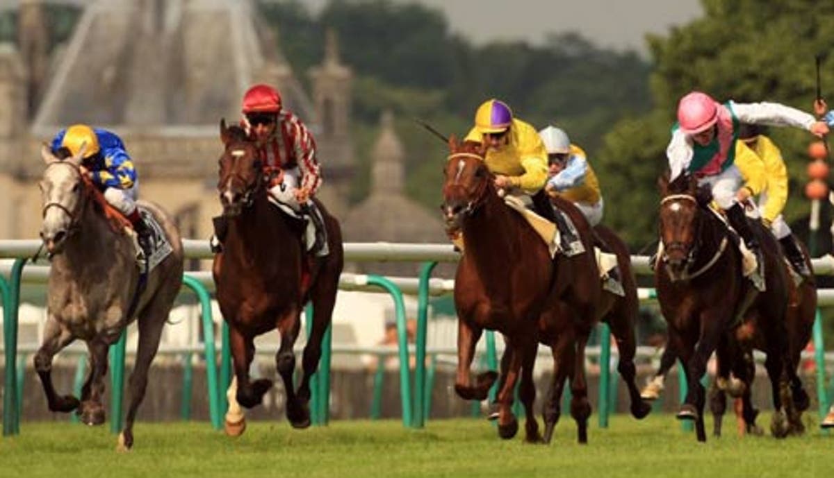 Famous Name earns plaudits in defeat | The Independent | The Independent