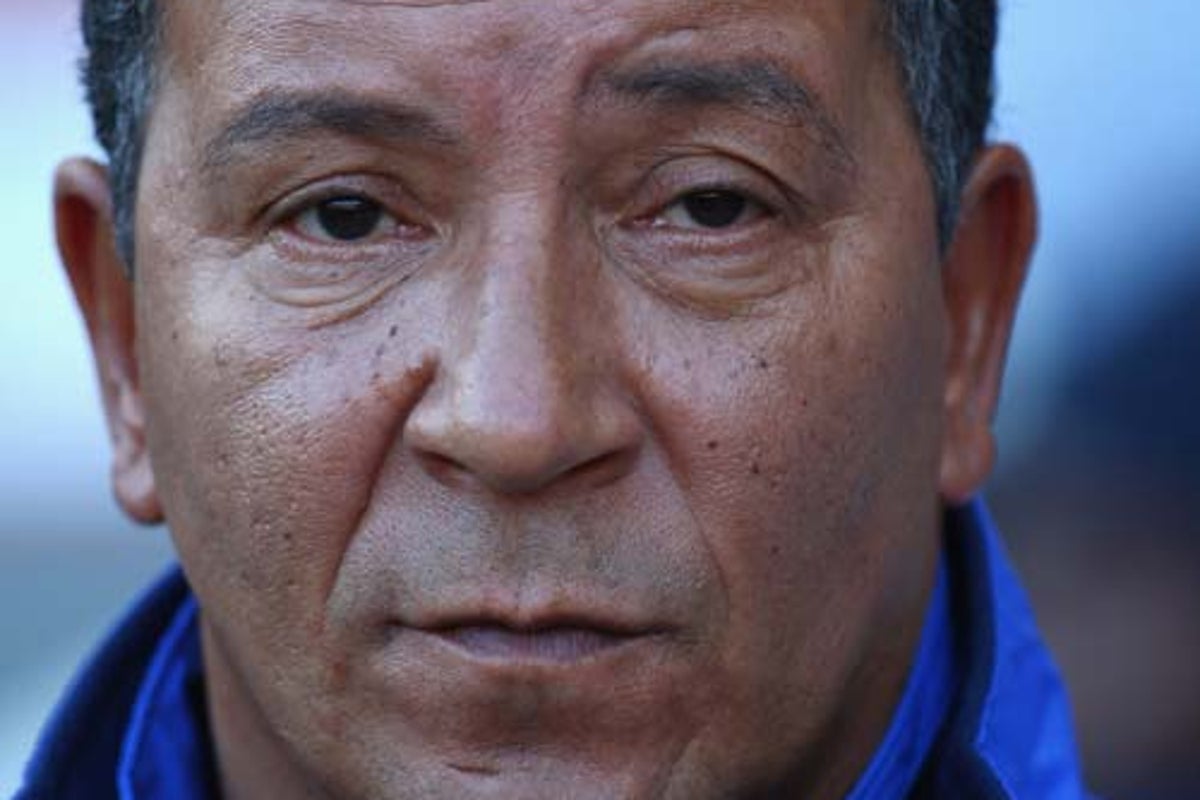 Ten Cate named Panathinaikos coach | The Independent | The Independent