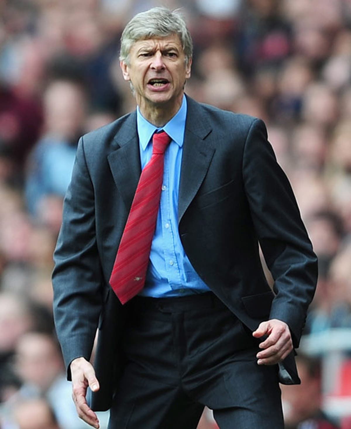Sam's the man for Wenger | The Independent | The Independent