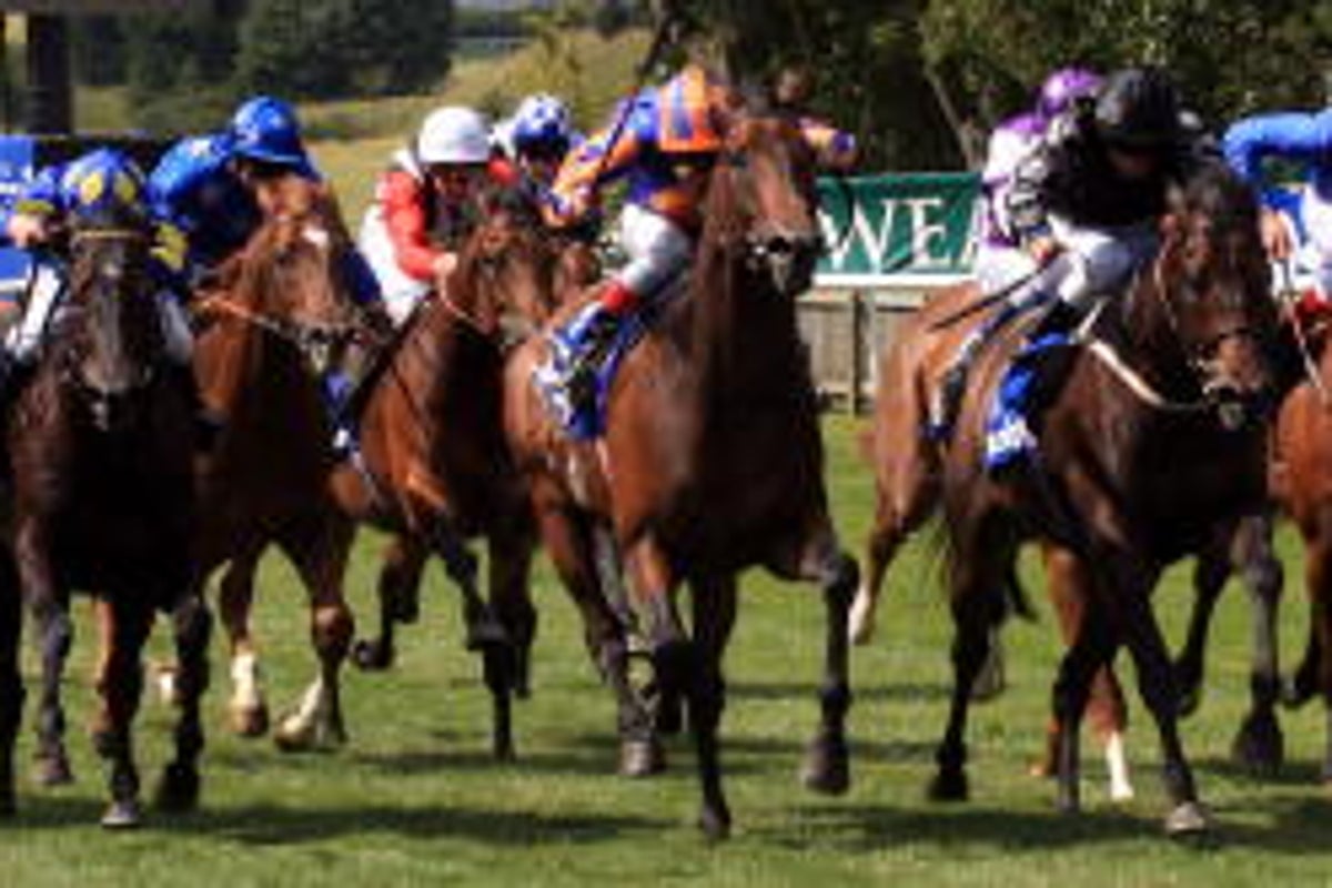 Chris McGrath: Garbo role perfect as loner Marchand d'Or transforms ...