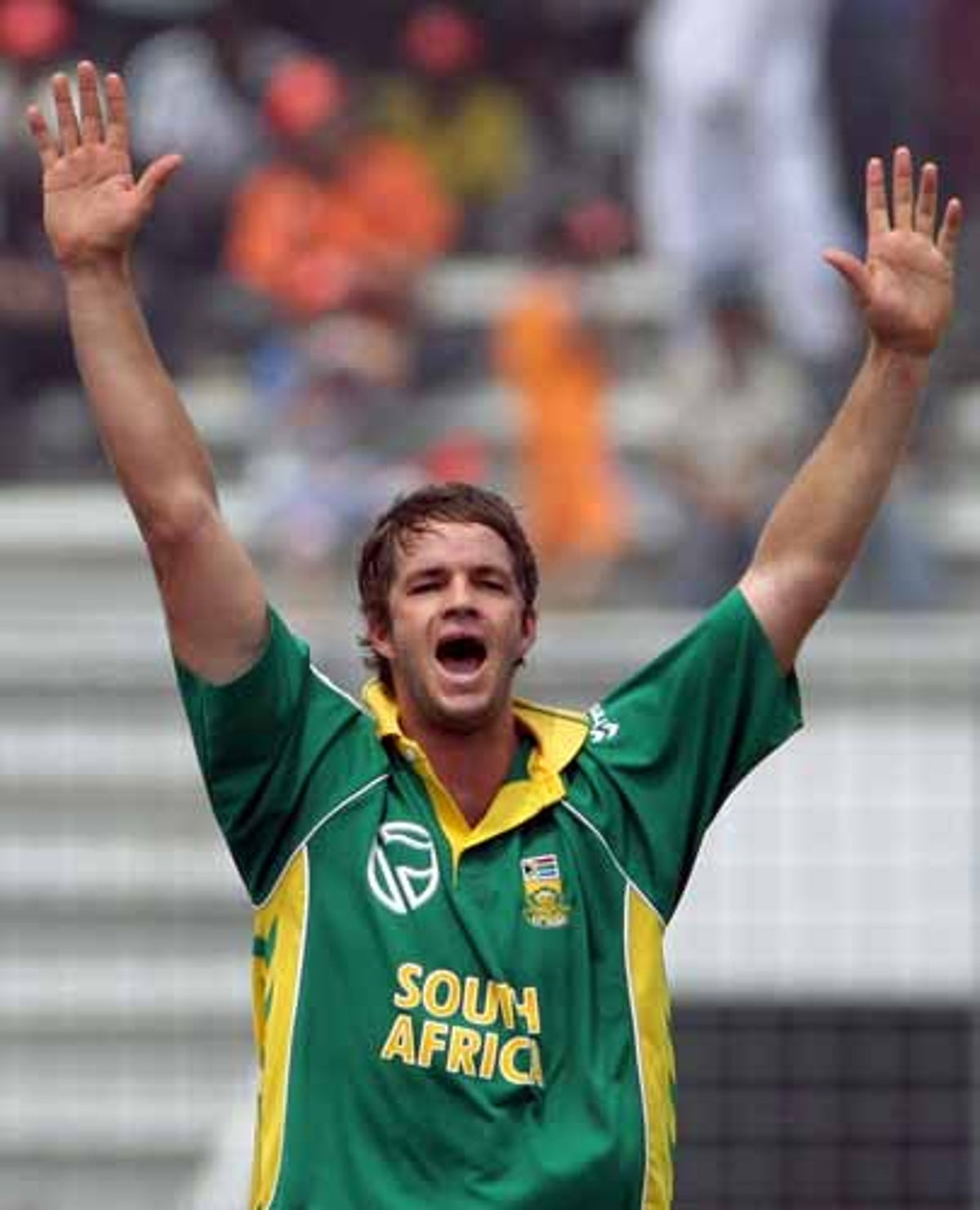 Albie Morkel And Morne Morkel