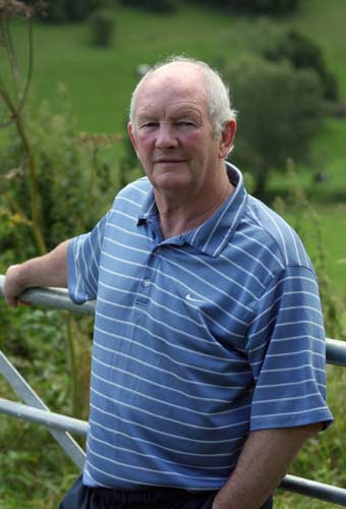 South Africa v New Zealand: Brian Ashton's view | The Independent | The ...