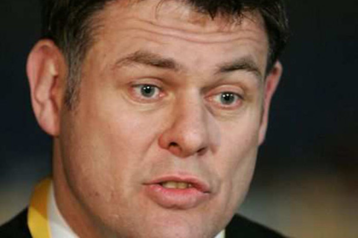 Nomadic Wasps seek return to London nest | The Independent | The ...