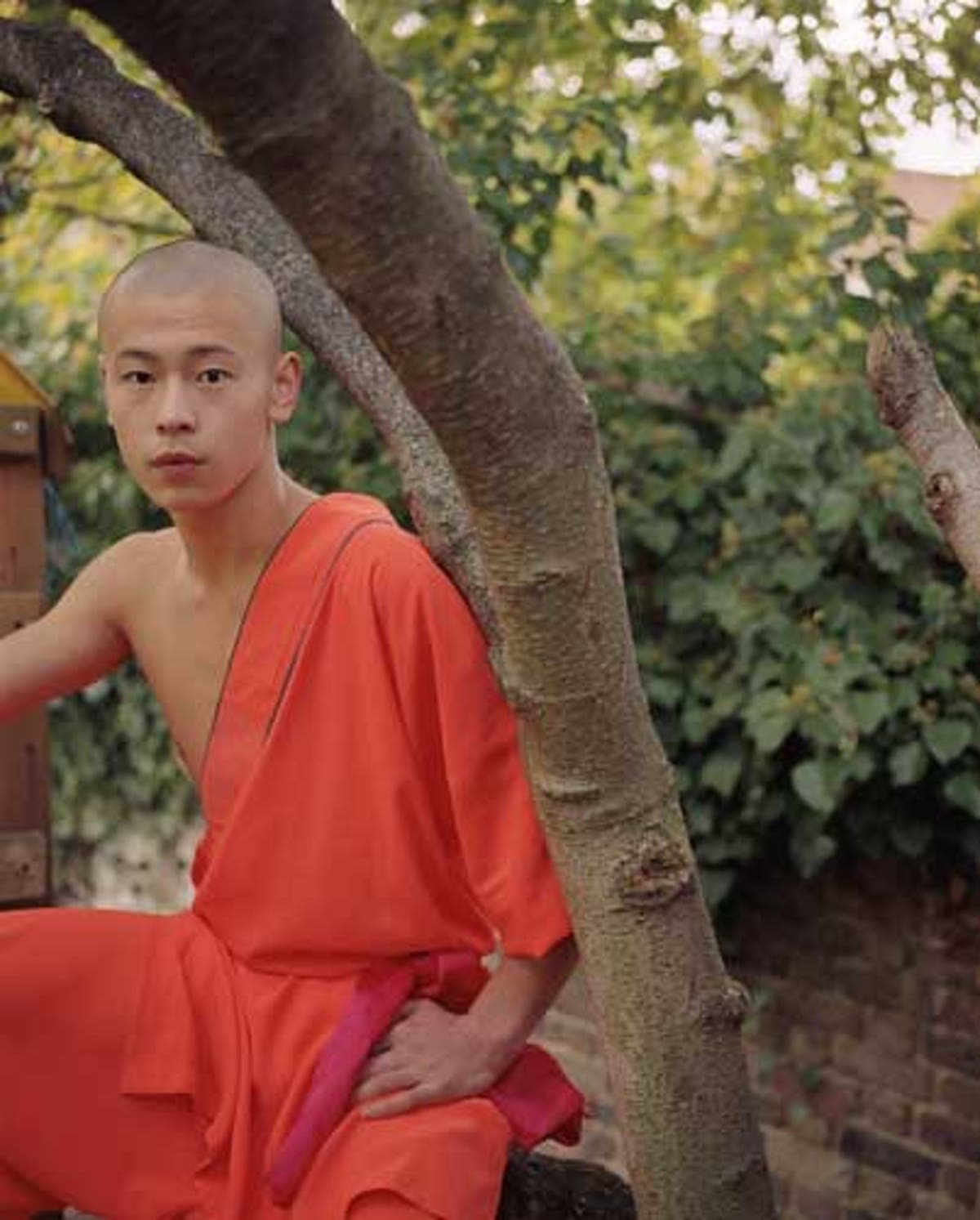 Credo: Shi Yan Fen | The Independent | The Independent