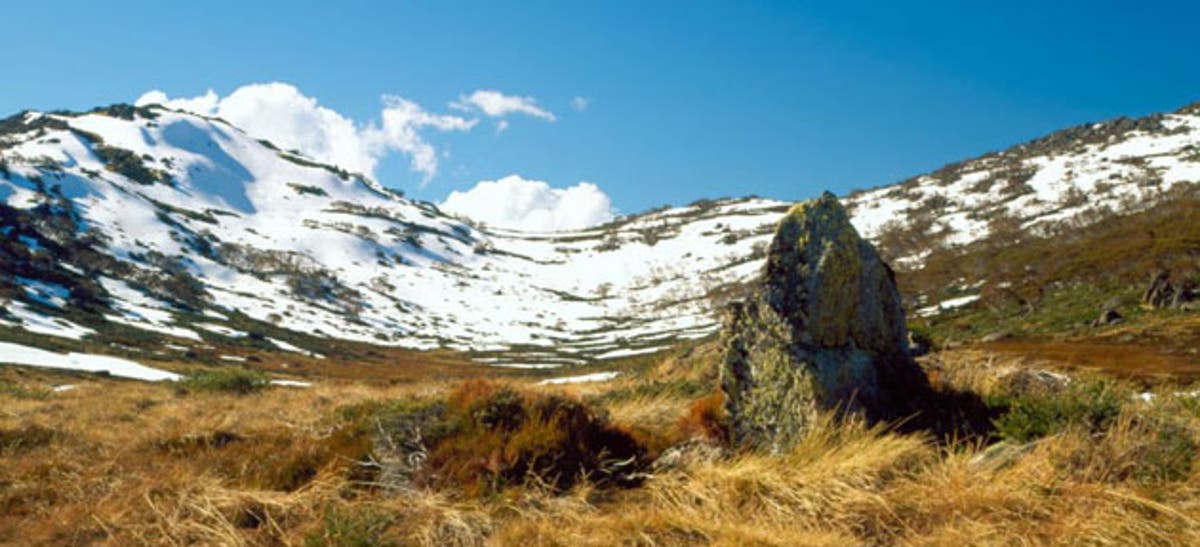 Australia acts to save 'Alps' from climate change | The Independent ...