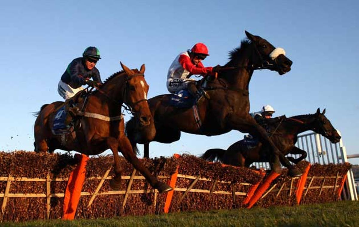 Joe Lively steps up his game to earn tilt at Gold Cup glory | The ...