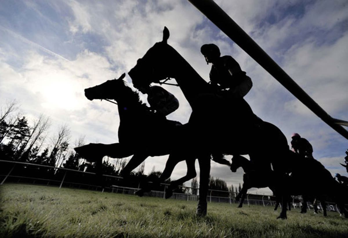 Chris McGrath: Pipe delivers The Package in perfect shape to whet ...