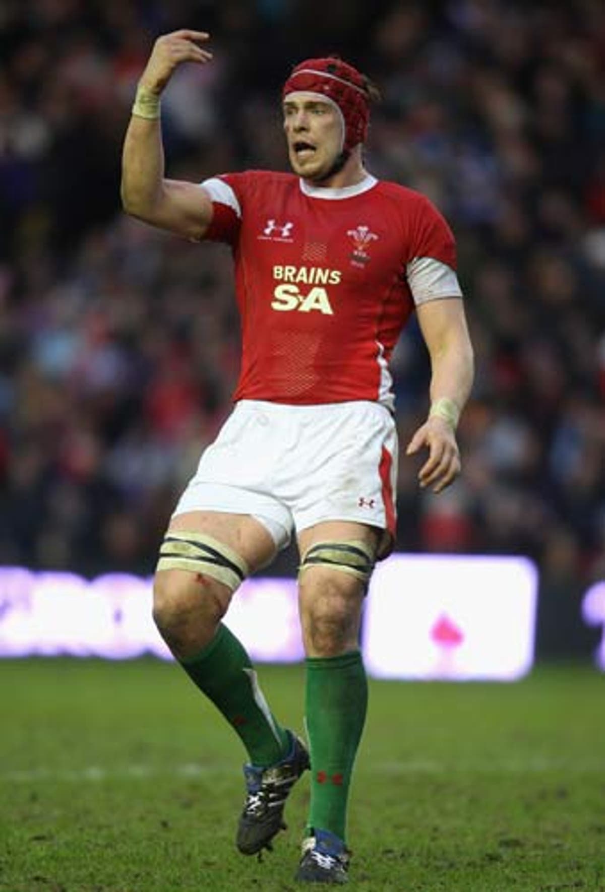 Alun-Wyn Jones: 'the common goal is to win' | The Independent | The ...