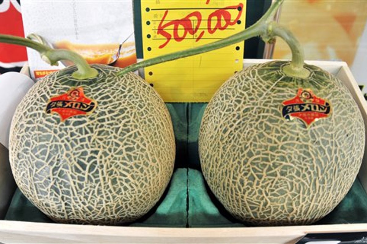 Slump hits Japan's most expensive melons | The Independent | The ...