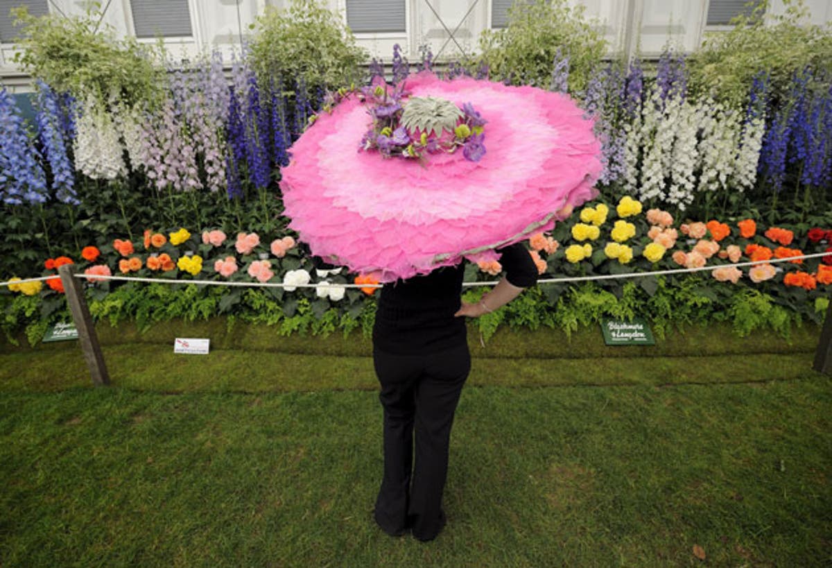 The Big Question: What is the Chelsea Flower Show, and how did it ...