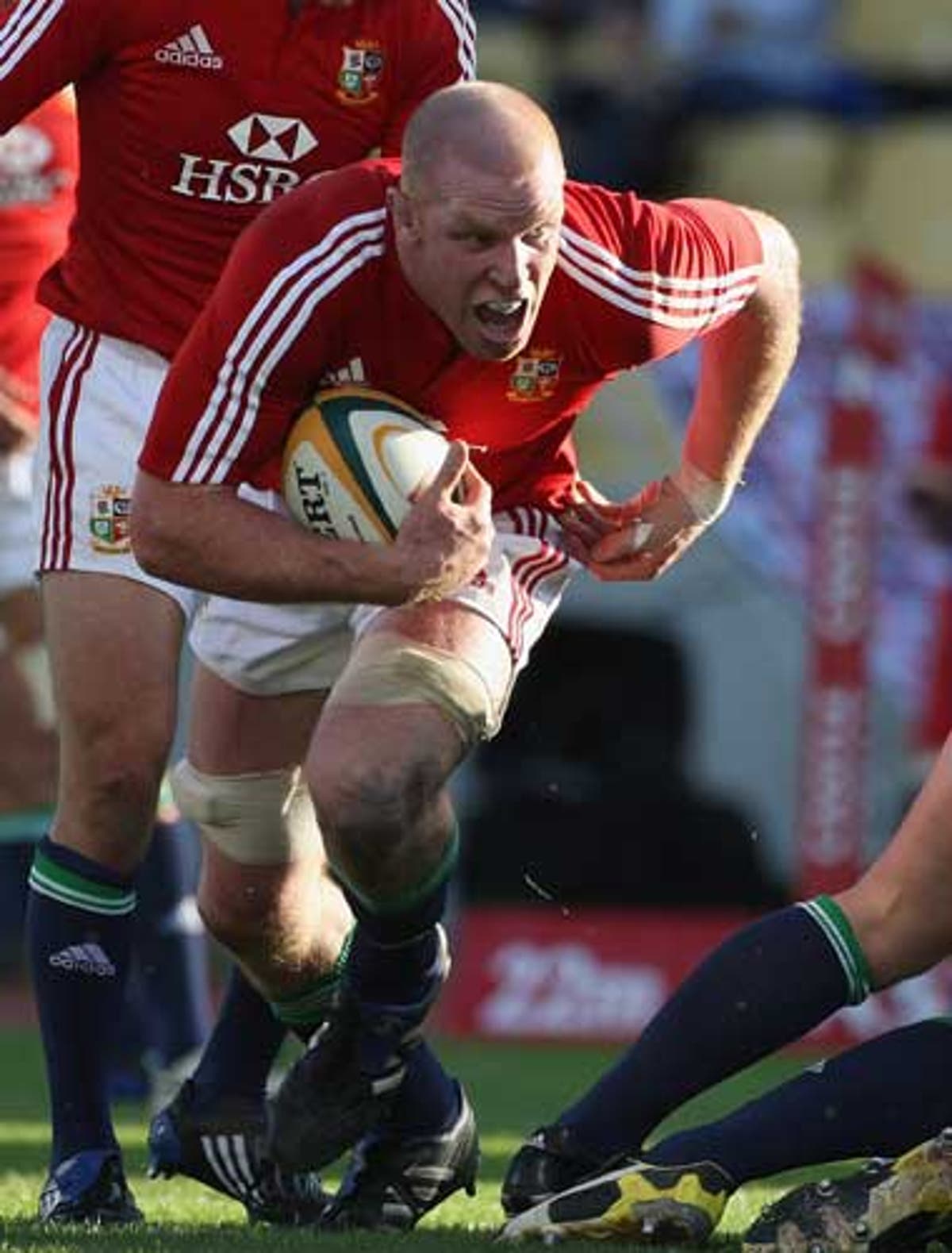 Lions survive scare to record opening win | The Independent | The ...