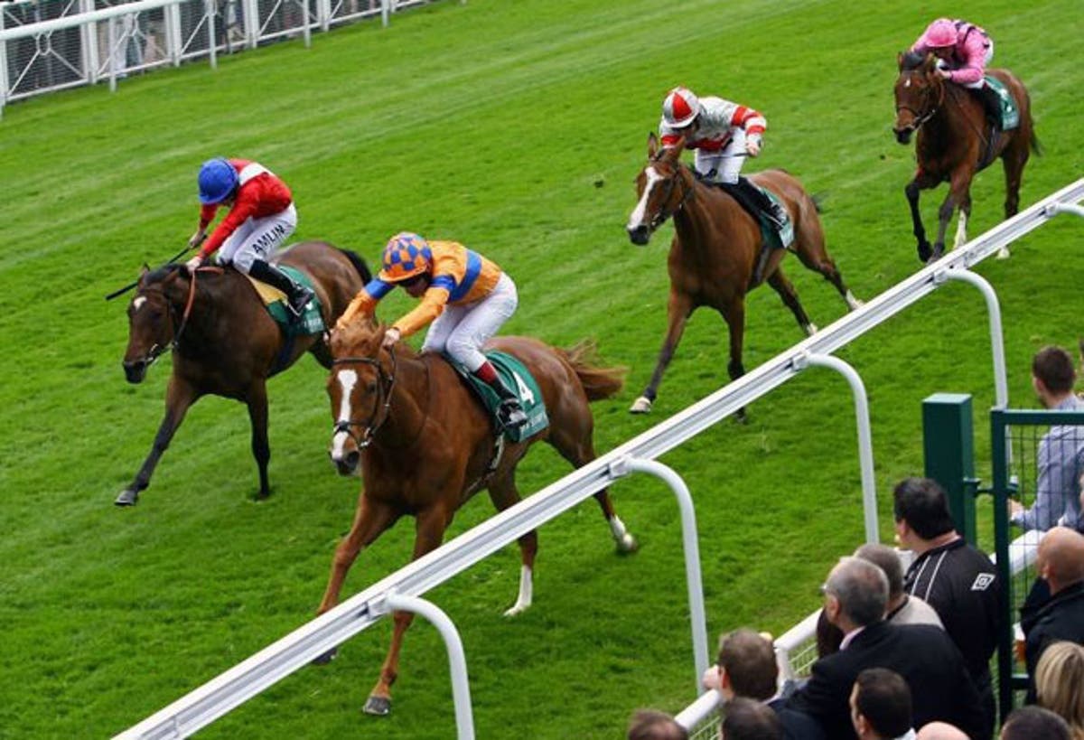 Murtagh prepared for moment of Truth | The Independent | The Independent