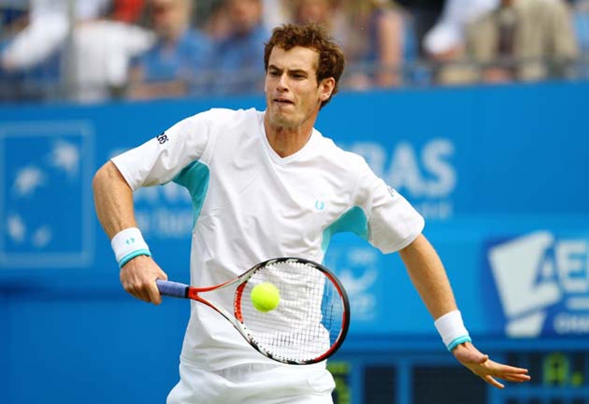 Murray reaches semi-final at Queen's | The Independent | The Independent