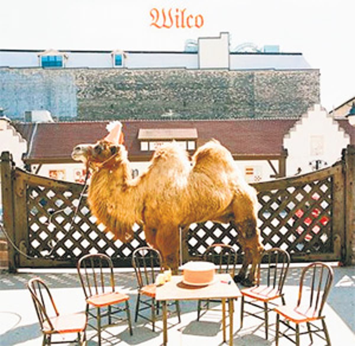 Album: Wilco, Wilco (The Album) (Nonesuch) | The Independent | The ...