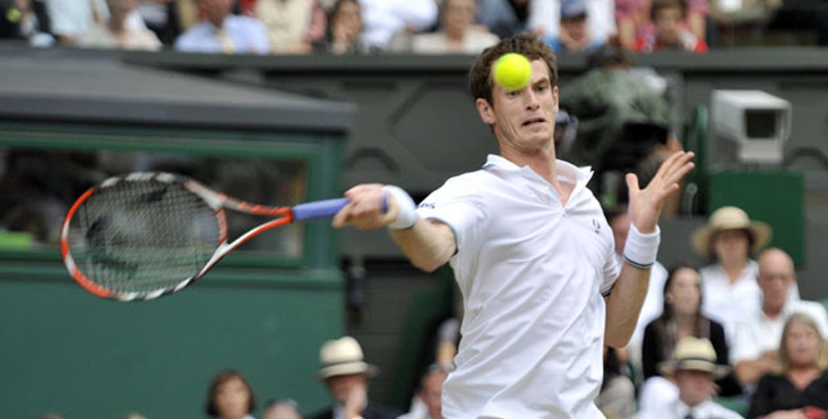 James Lawton: Victory, without leaving comfort zone | The Independent ...