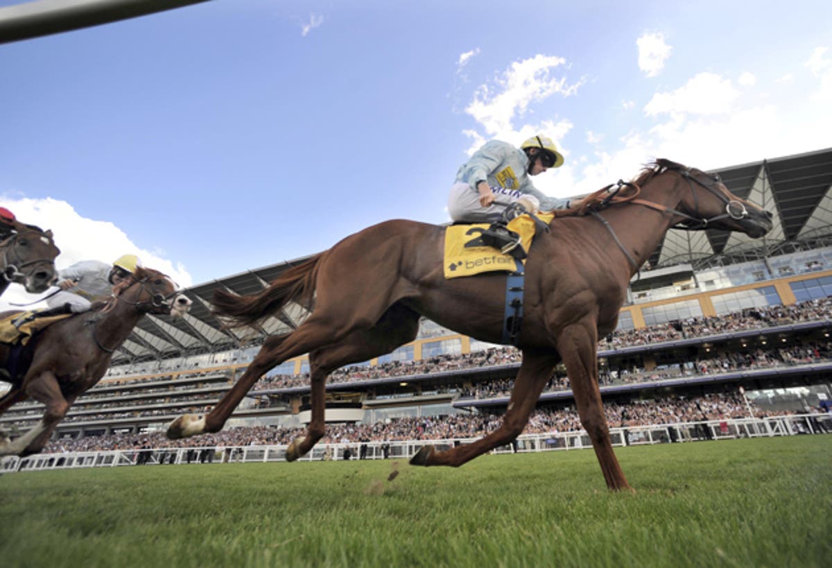 Conduit flows in for a Stoute clean sweep in King George | The ...