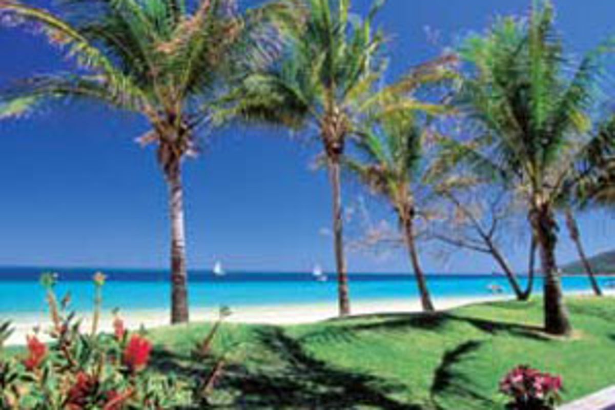 Queensland: Getting the bug on Moreton Island | The Independent | The ...