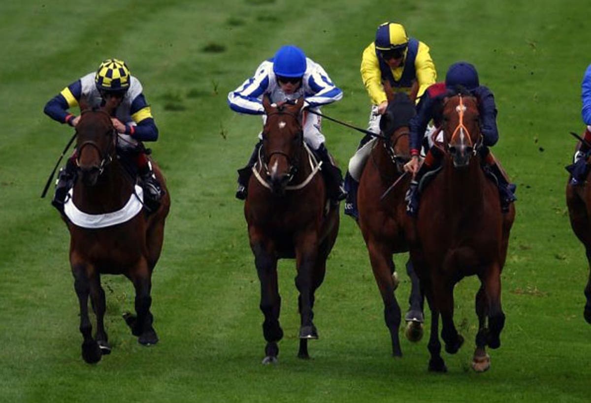 Liddiard's economy pays off | The Independent | The Independent