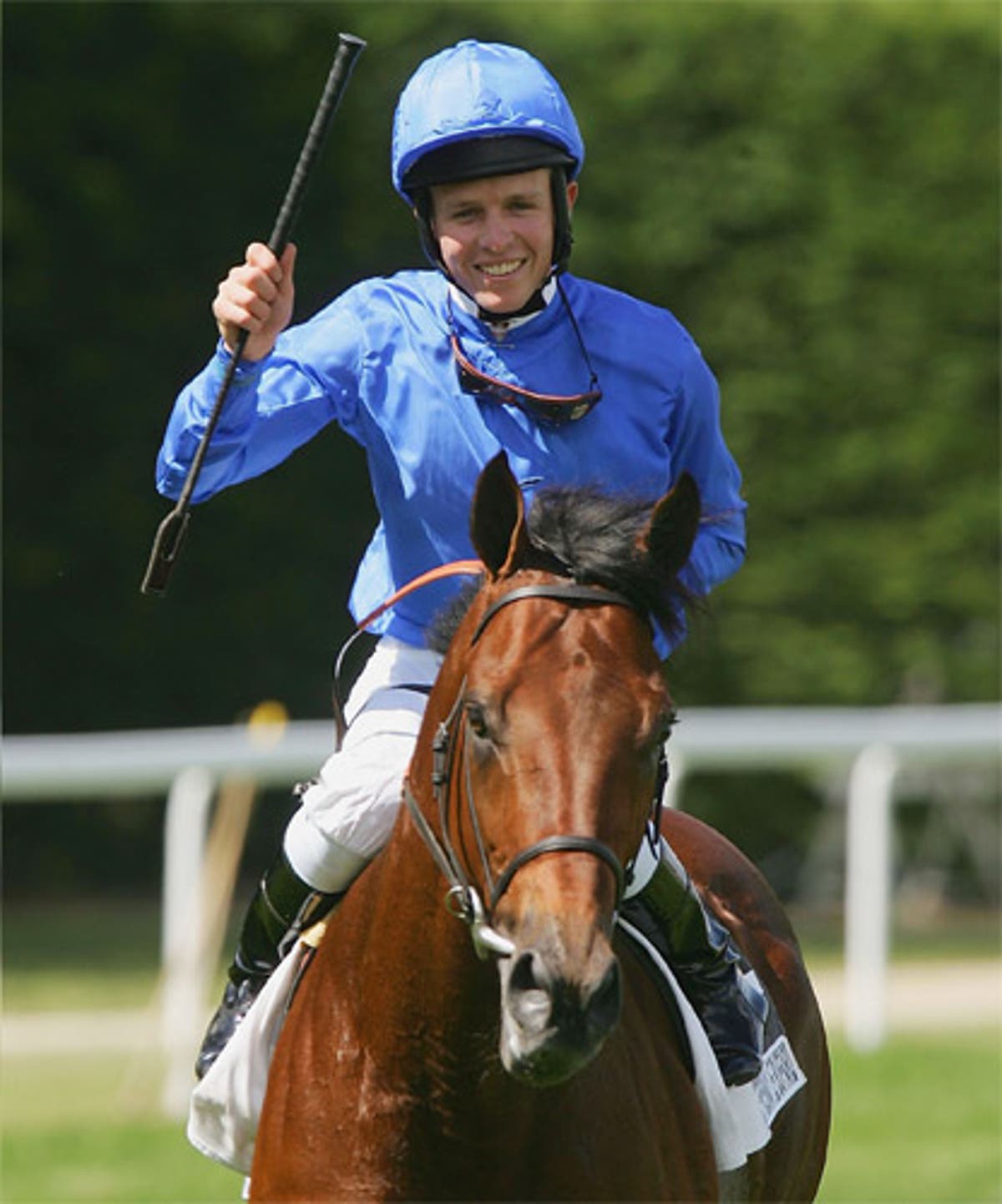 First-season sires' race gains pace | The Independent | The Independent