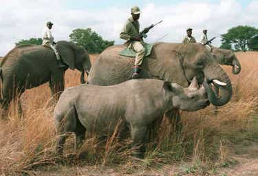 Gift Phiri | The Independent