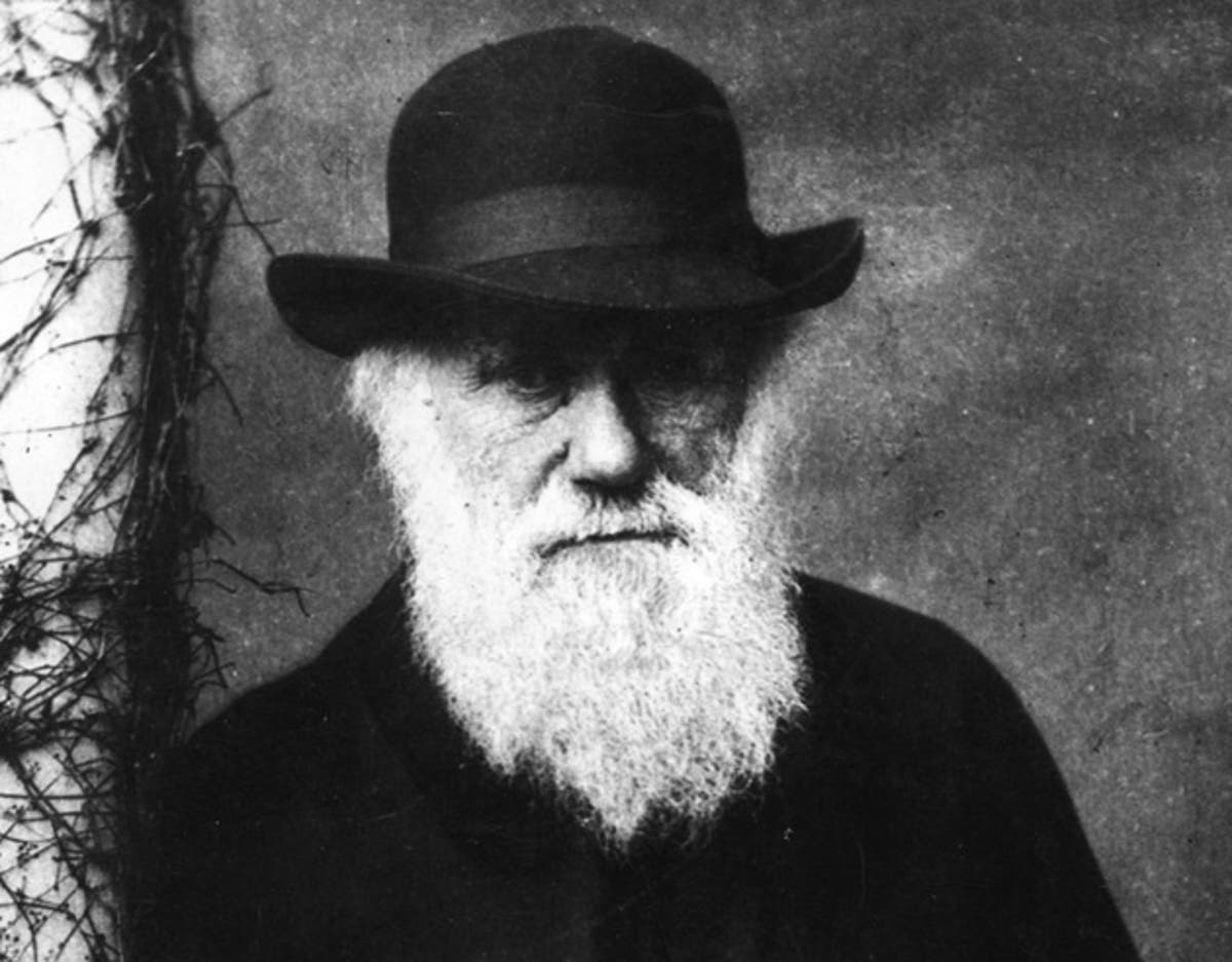 A dance for Darwinism | The Independent | The Independent