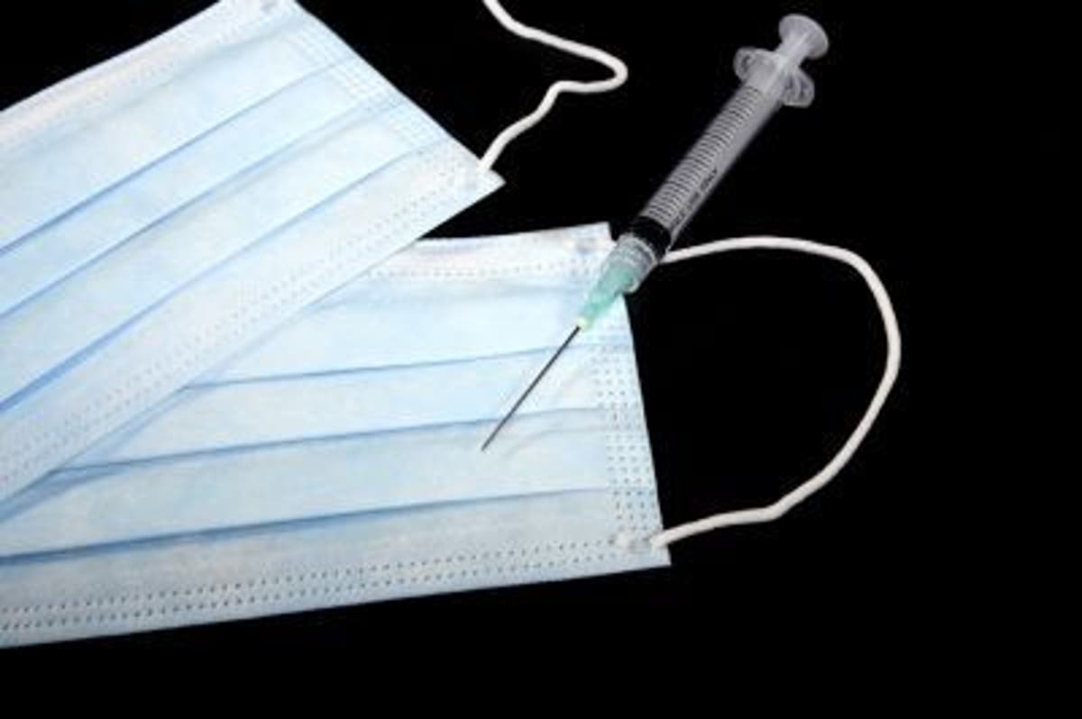 US rolls out swine flu vaccine campaign | The Independent | The Independent