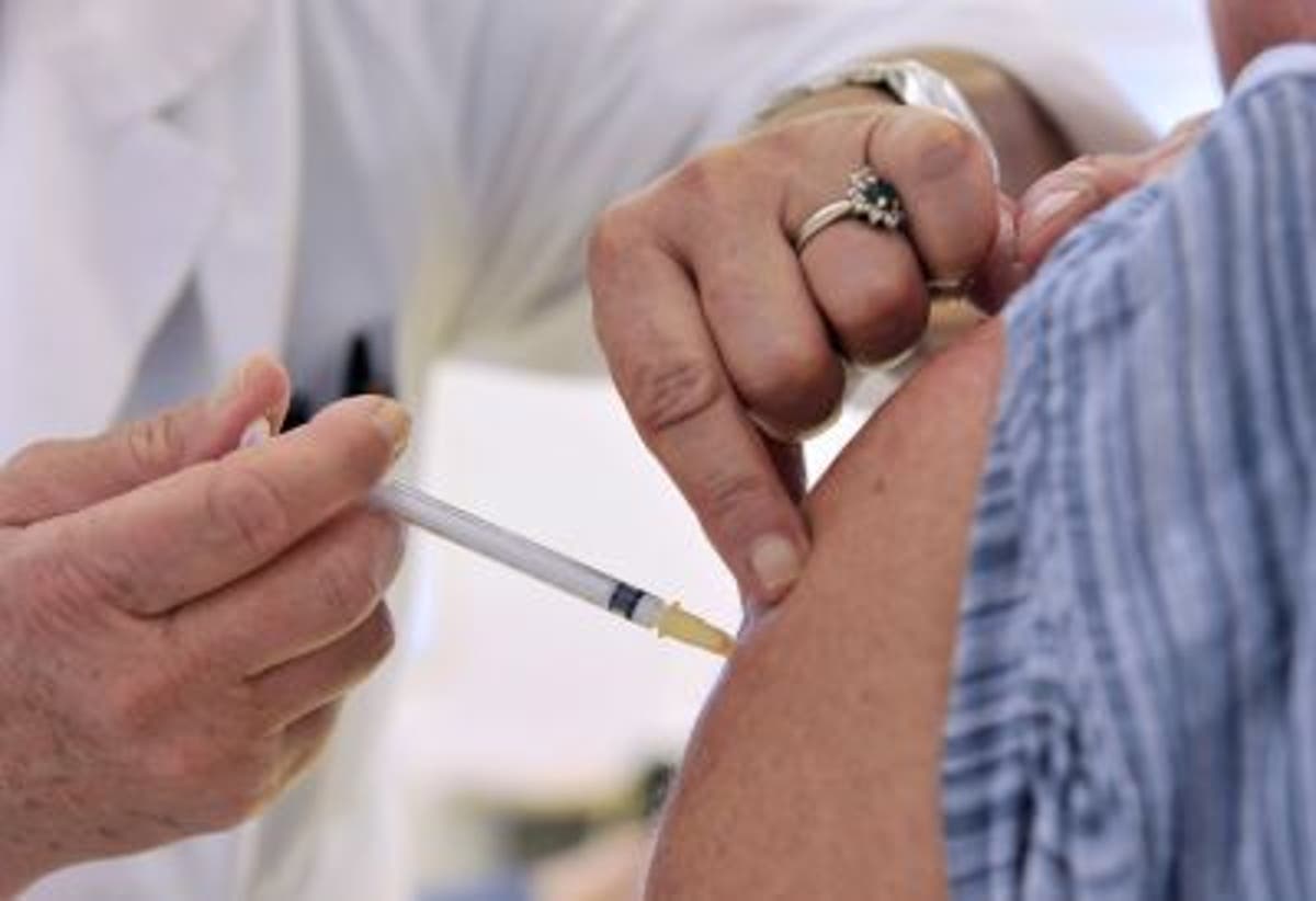 France joins Europe flu vaccine sell-off | The Independent | The ...