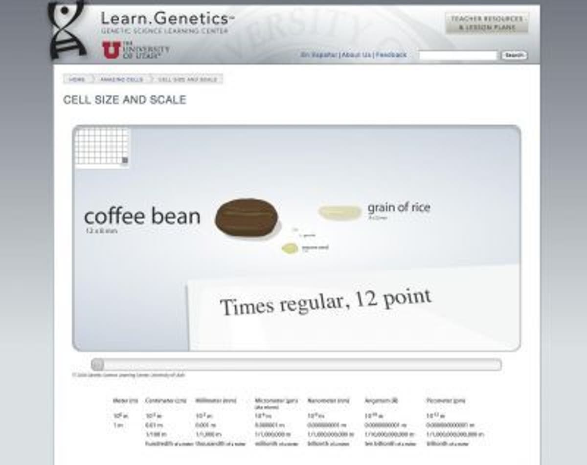 The week's most popular Diggs: the best math teacher, cartoons ...