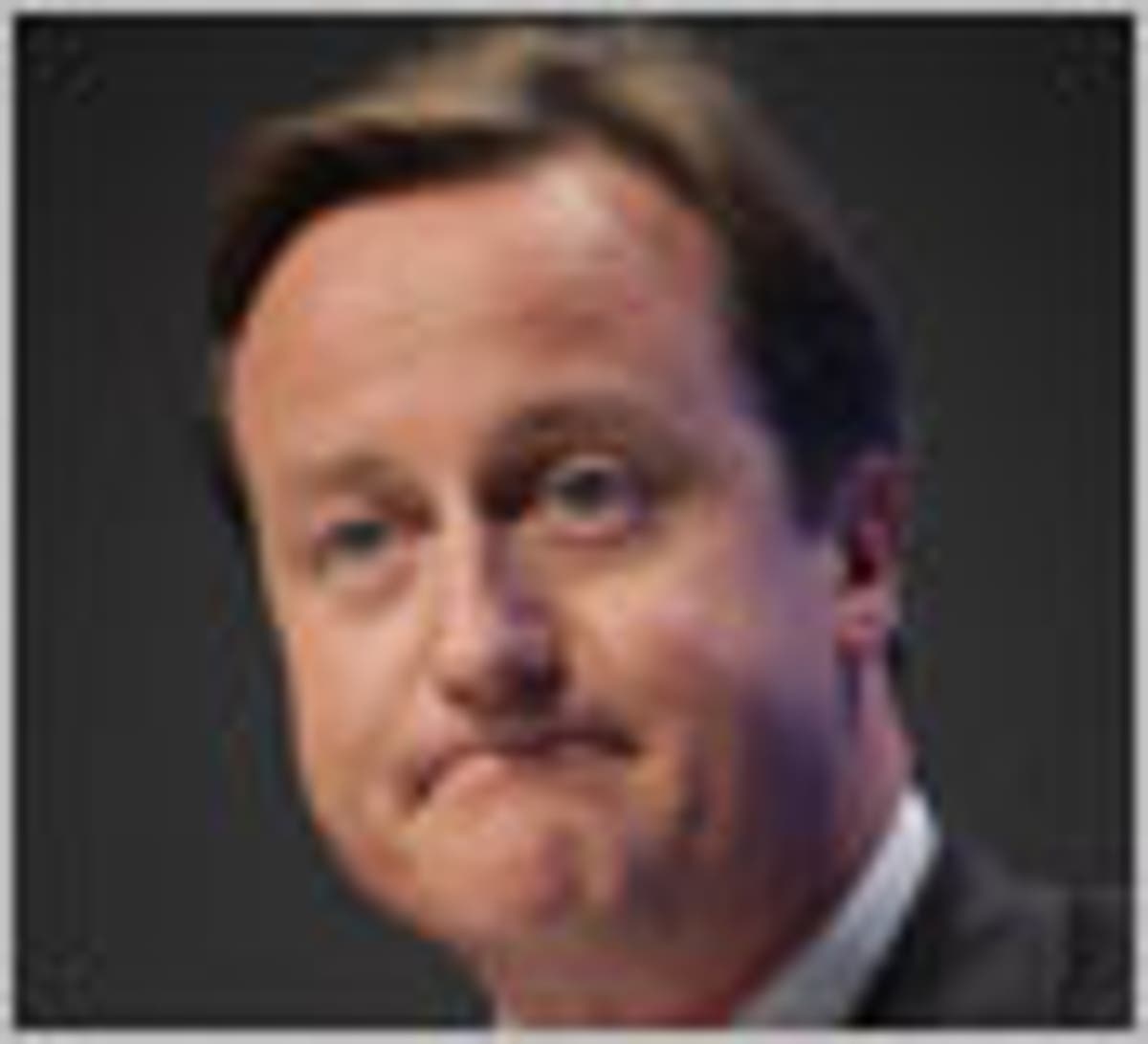 Adrian Hamilton: Cameron, Europe and pure waffle | The Independent ...
