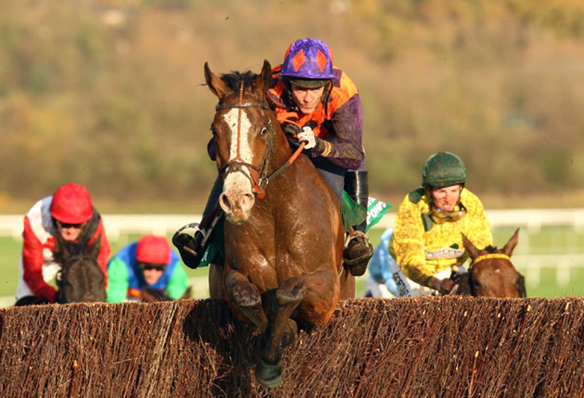 Tranquil Sea powers home to turn the tide for Irish raiders | The ...