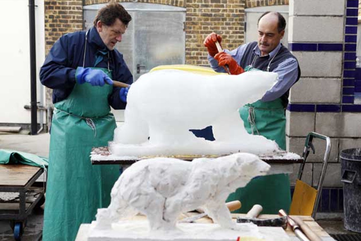 Climate change: The ice bear cometh | The Independent | The Independent