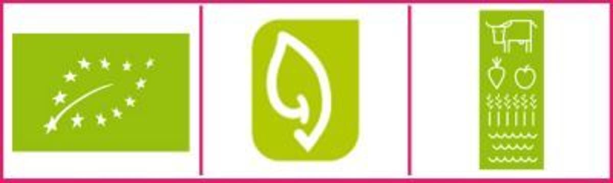 Europeans can vote online for the new EU-wide organic logo | The ...