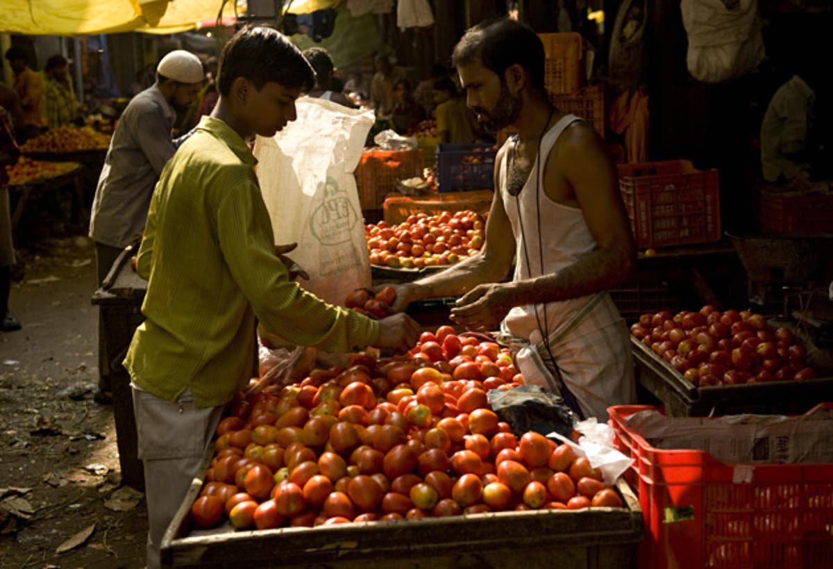 India's new delicacy: a 45-day-old tomato | The Independent | The ...