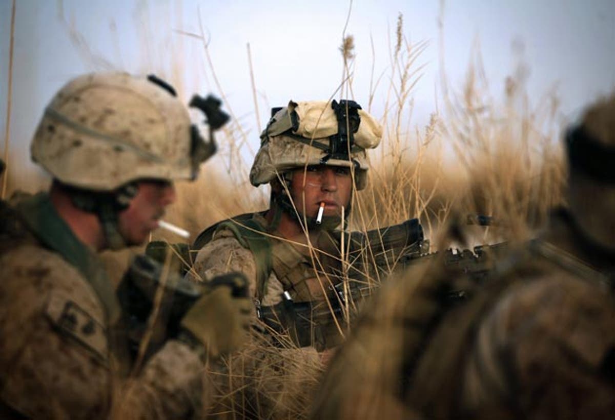 Civilians killed as Operation Moshtarak tightens screw | The ...