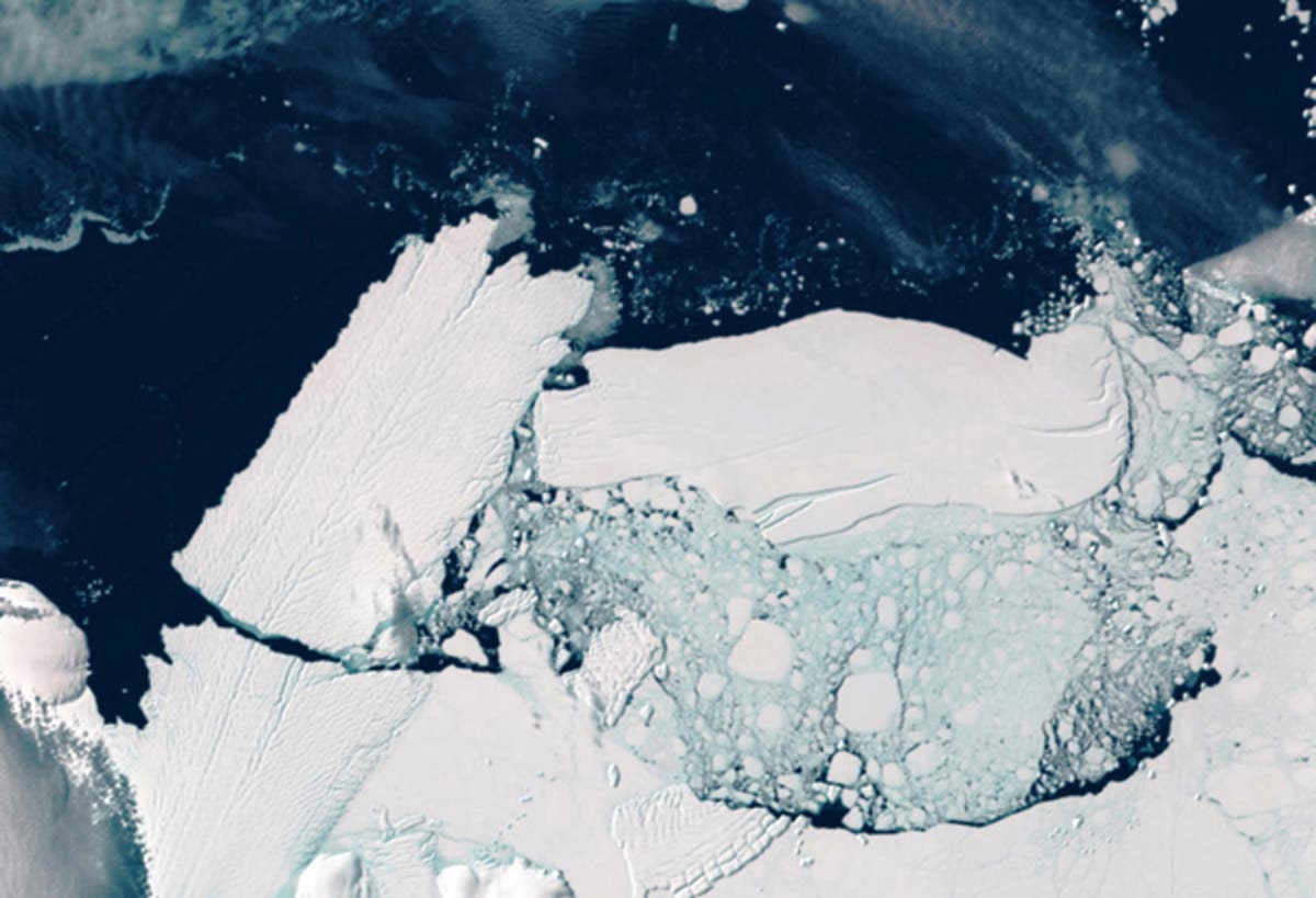 Giant iceberg breaks free from Antarctic in collision | The Independent ...