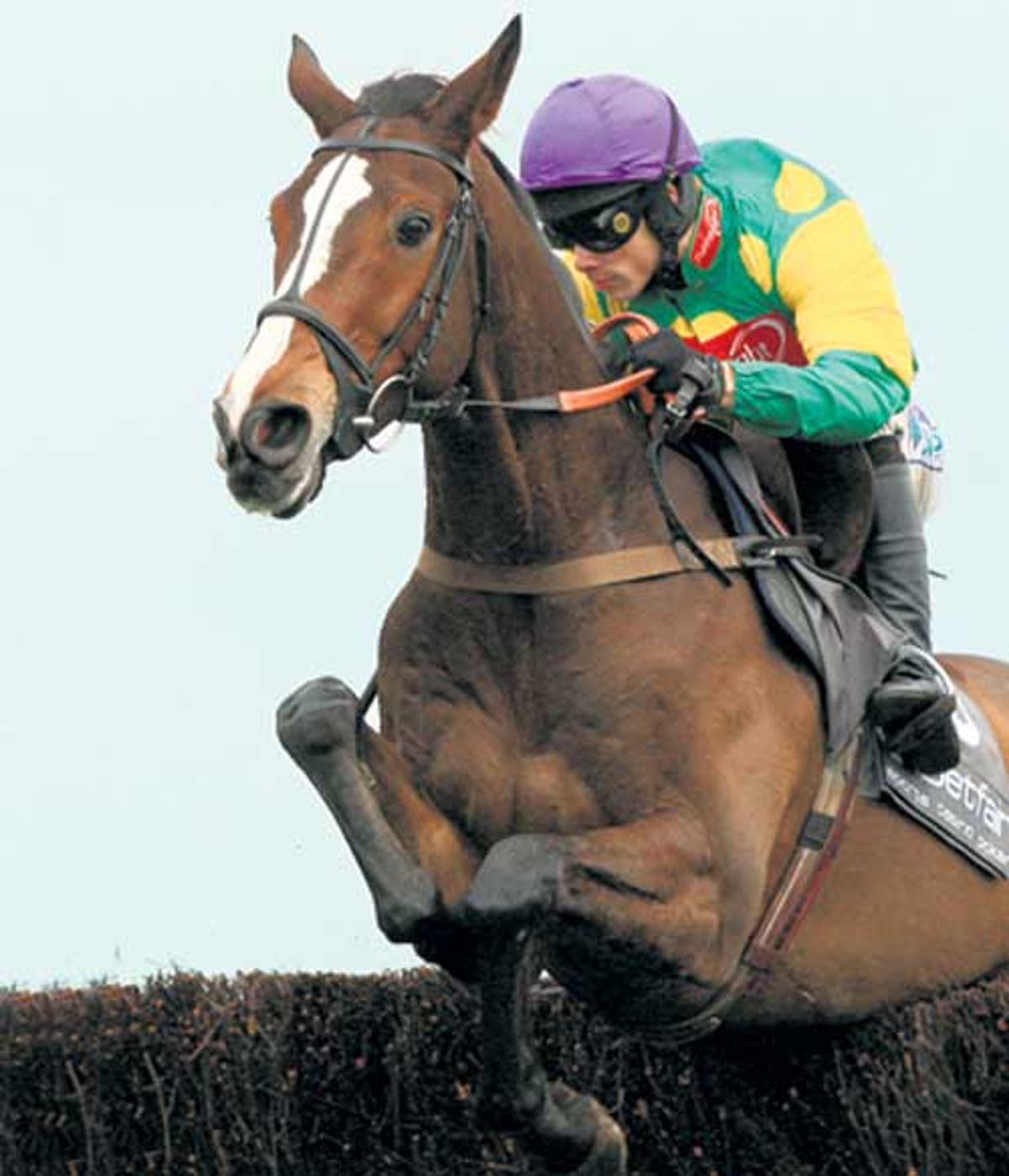 Crowning of Kauto is written in the stars | The Independent | The ...