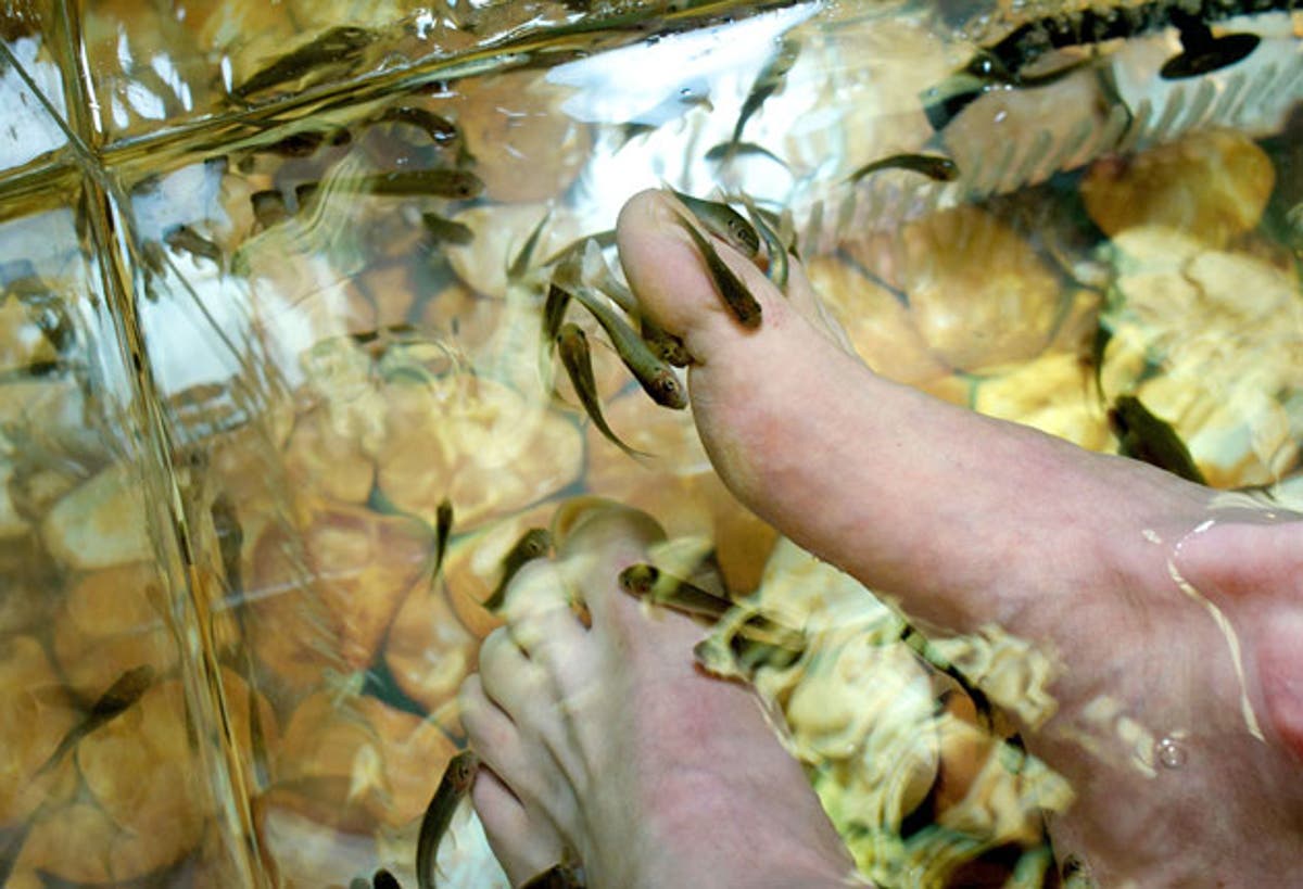 A really tasty treat for feet | The Independent | The Independent