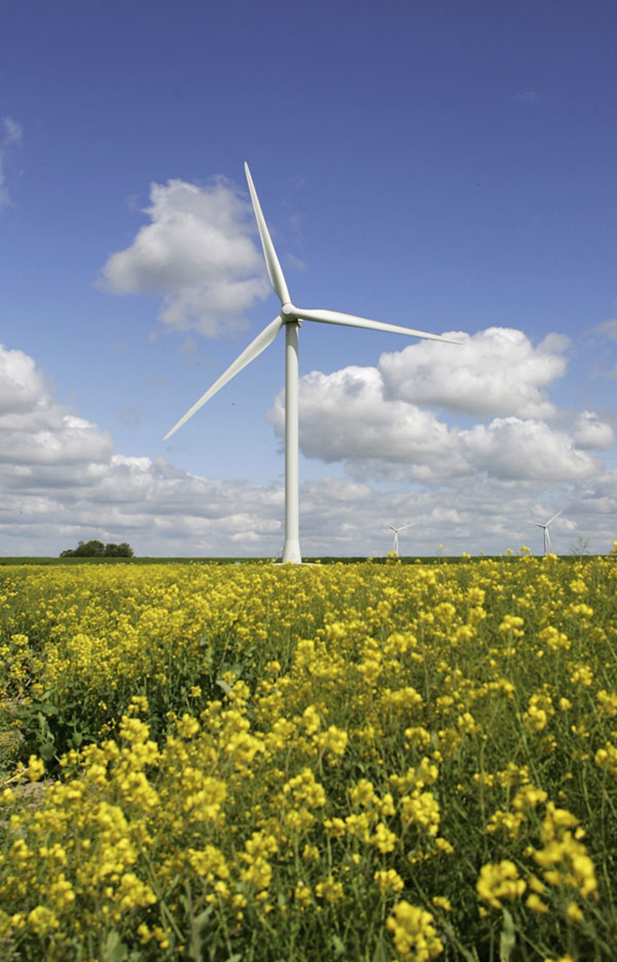 Charge of the green brigade: The students who are planning to be in the ...