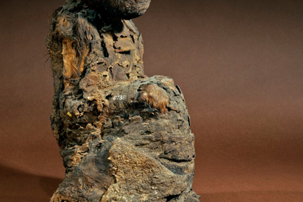 Baboon mummy analysis reveals Eritrea and Ethiopia as location of land ...