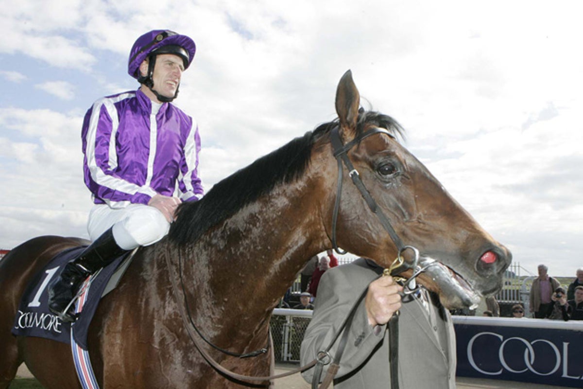Murtagh has faith in St Nicholas for Epsom | The Independent | The ...