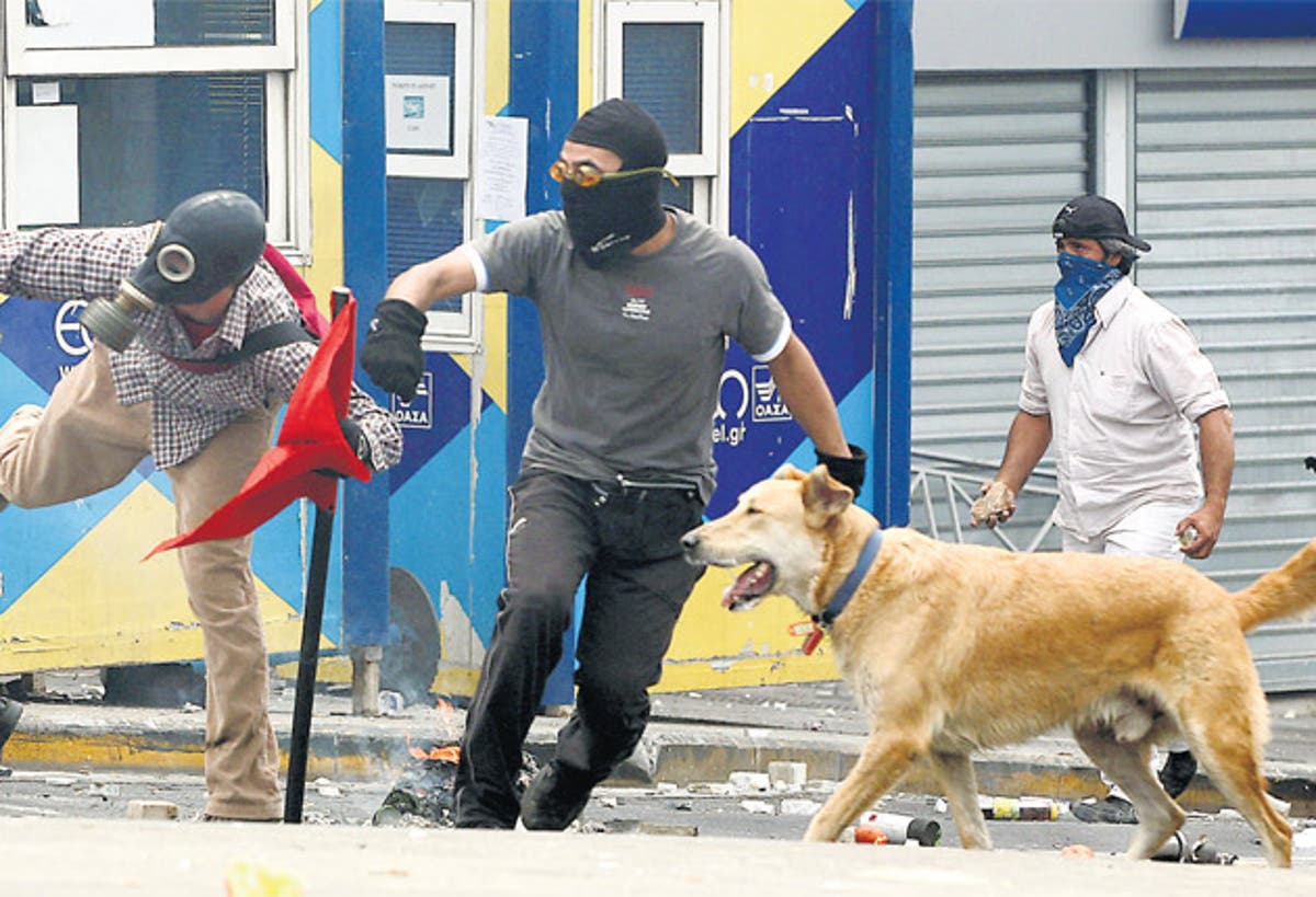 Greece: Protesters unleash the dogs of war | The Independent | The ...