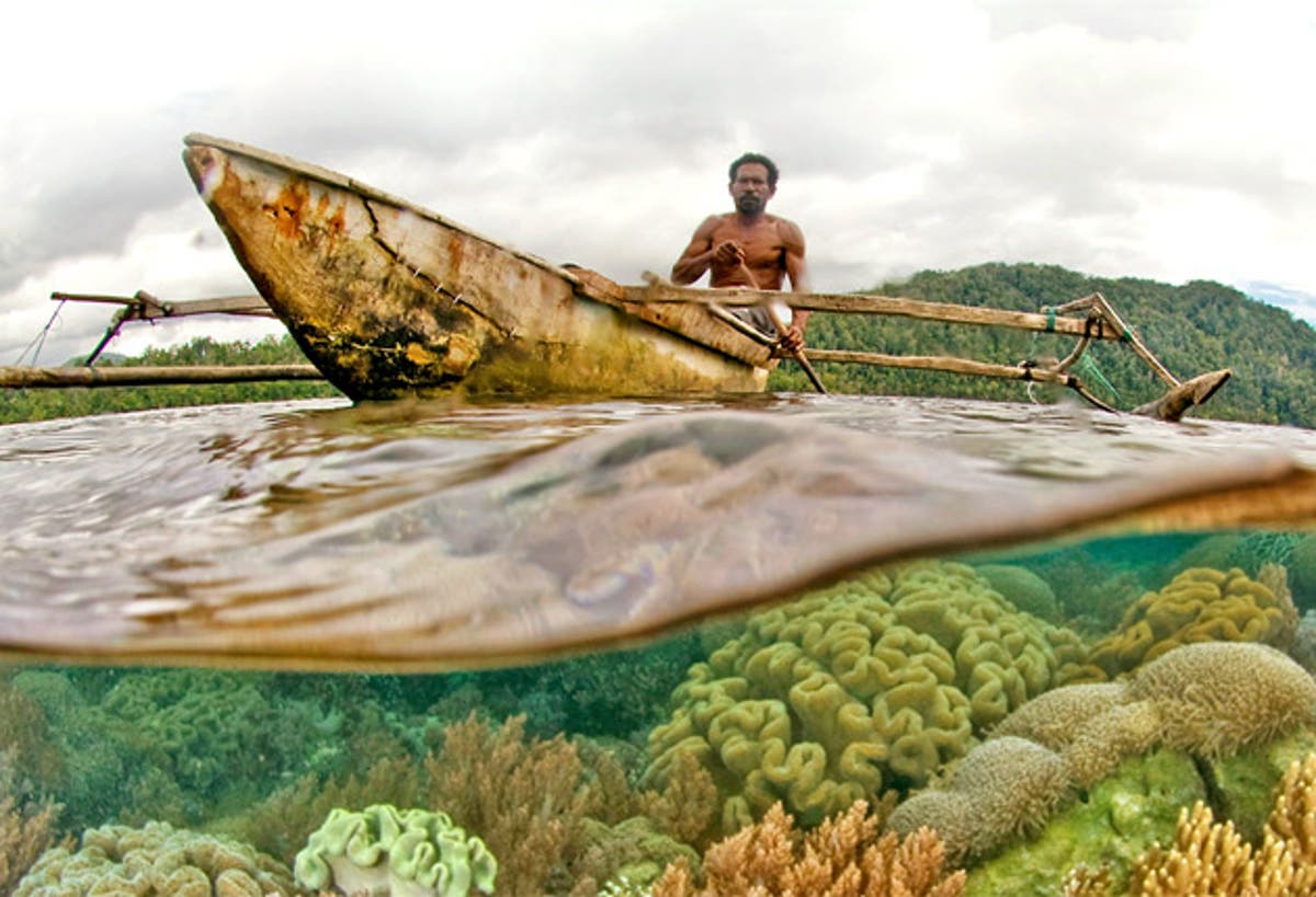 Man-made climate change blamed for 'significant' rise in ocean ...