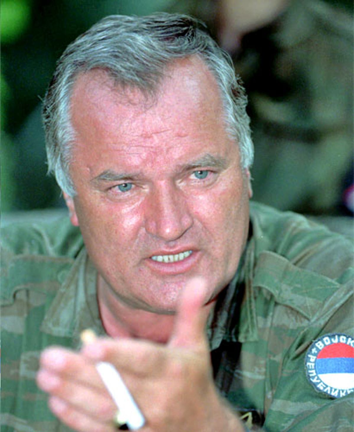 Mladic is dead, family tells war crimes tribunal | The Independent ...