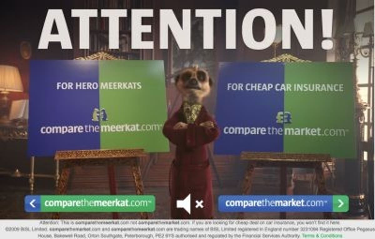 Enterprising meerkat rises to fame through TV ads, lands a book deal ...