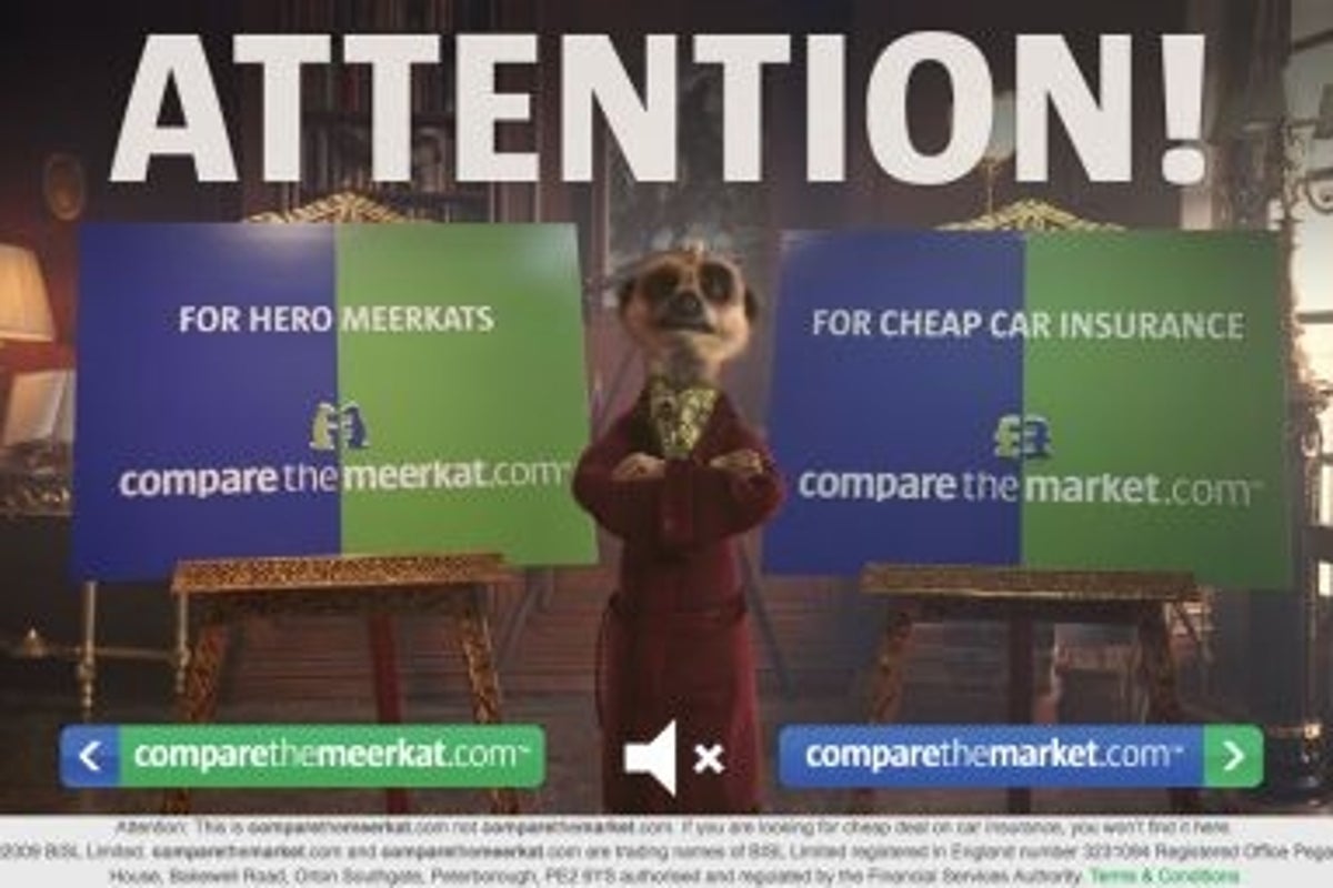 Enterprising meerkat rises to fame through TV ads, lands a book deal ...