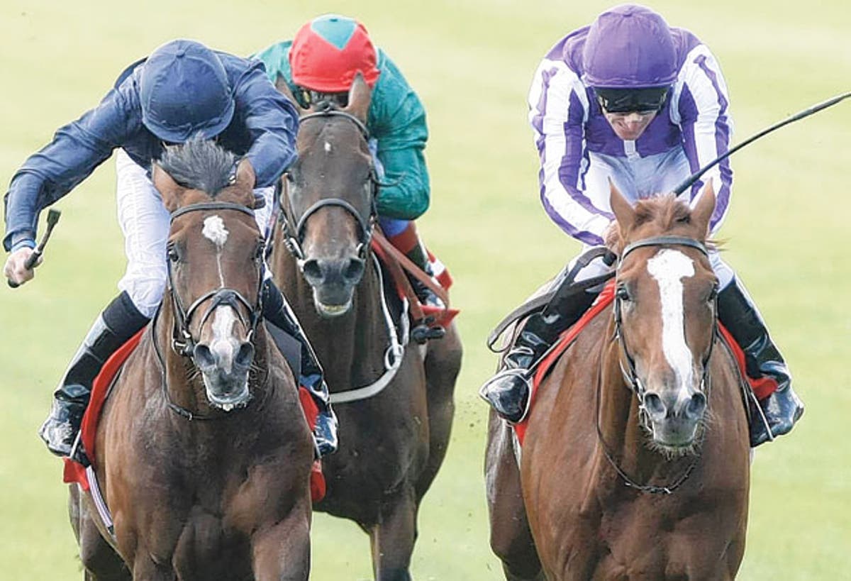 Cape Blanco leads Ballydoyle clean sweep in the Irish Derby | The ...