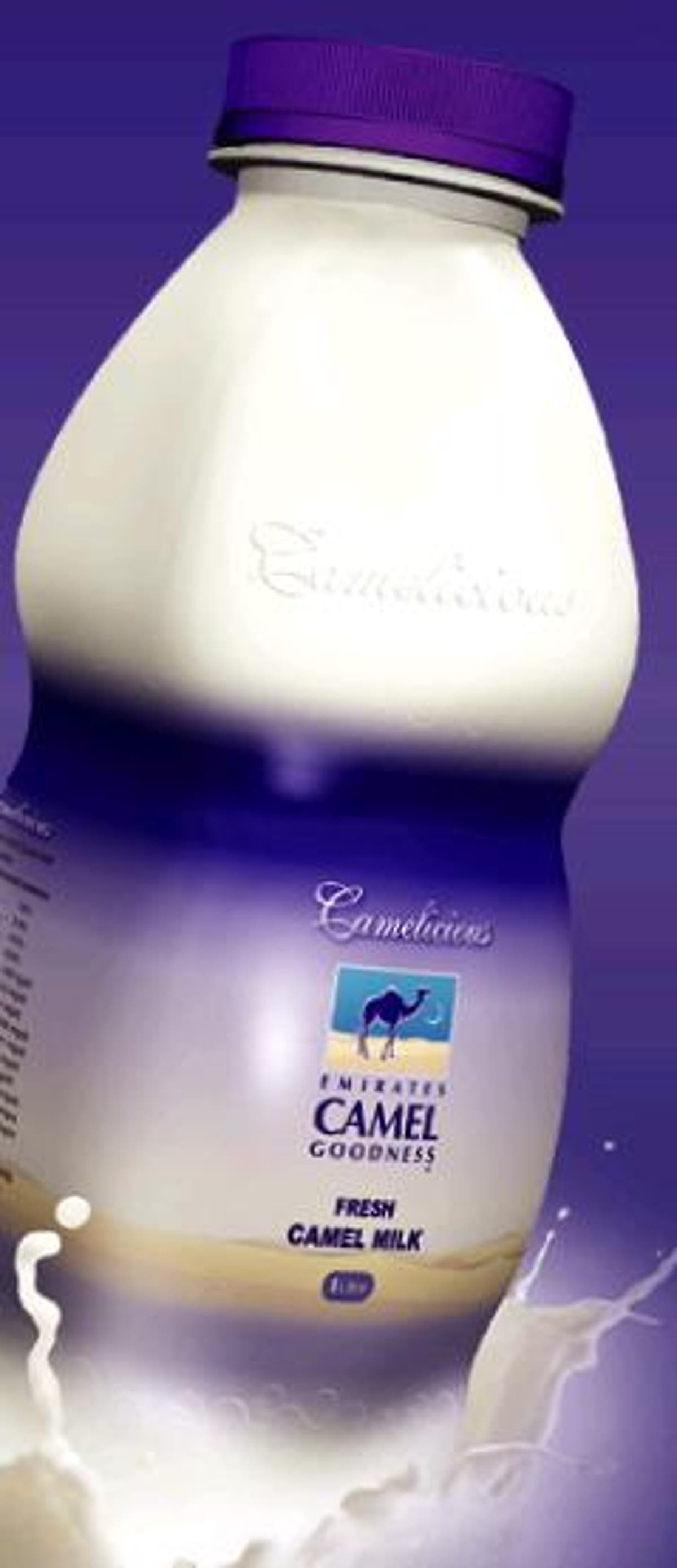 Got camel milk, or a scoop of Cold Hump? | The Independent | The ...